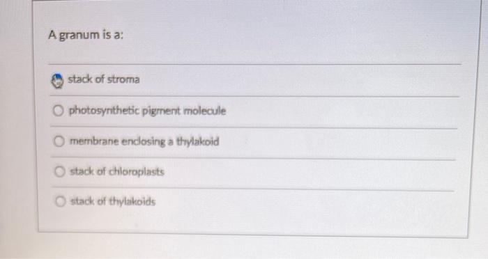 Solved A granum is a: stack of stroma Ophotosynthetic | Chegg.com