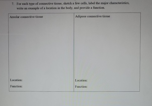 Solved Connective Tissue 6. Make a flow chart on how you are | Chegg.com Solved Connective Tissue 6. Make a flow chart on how you are | Chegg.com