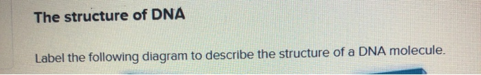 Solved The structure of DNA Label the following diagram to | Chegg.com