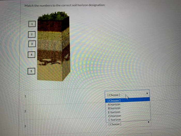 Solved Match the numbers to the correct soil horizon | Chegg.com