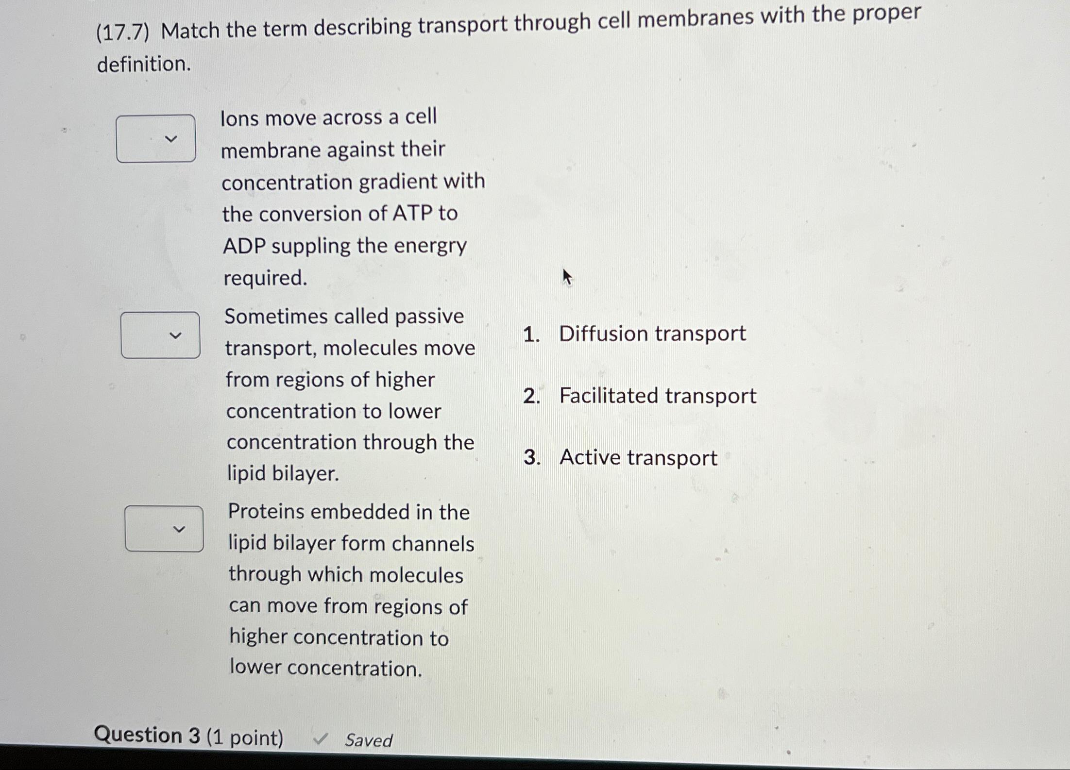 Solved (17.7) ﻿Match the term describing transport through | Chegg.com
