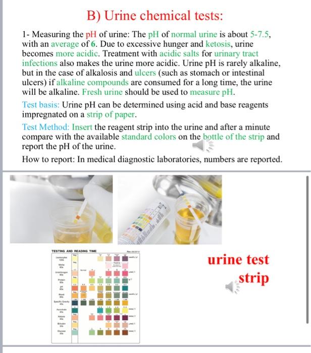 Solved - Collection of urine - Urine tests - A) Physical | Chegg.com