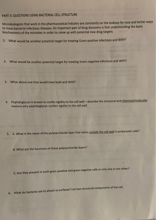 Solved PART 3: QUESTIONS USING BACTERIAL CELL STRUCTURE | Chegg.com