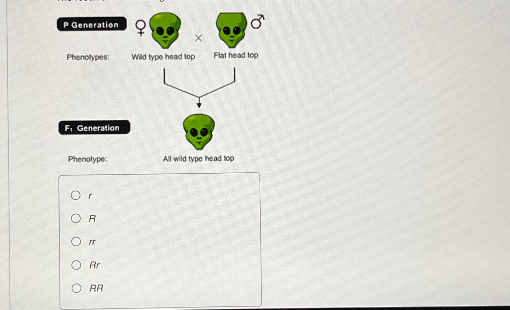 Solved P GenerationPhenotypes:Wild type head topFlat head | Chegg.com