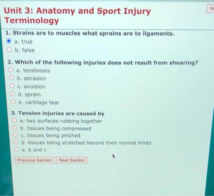Solved Н. Unit 3: Anatomy and Sport Injury Terminology 1. | Chegg.com