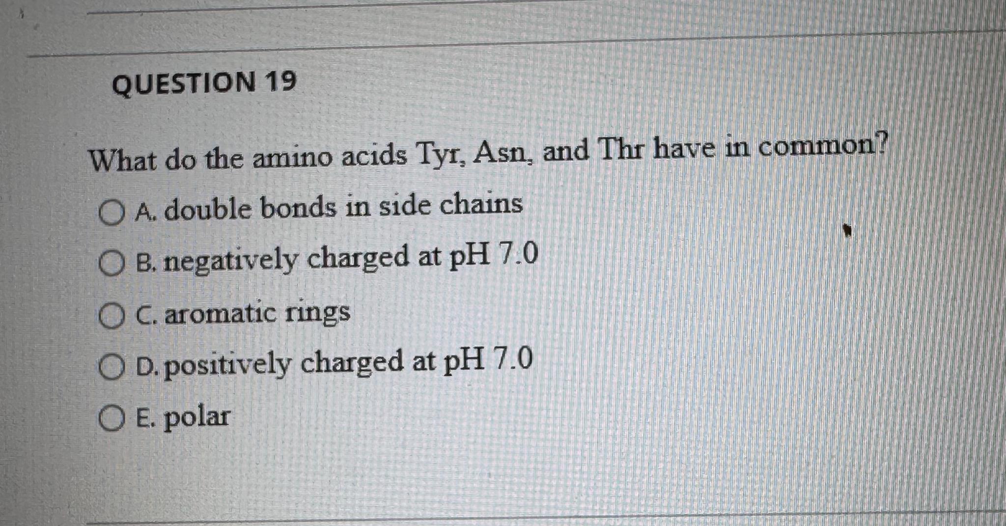 Solved QUESTION 19What do the amino acids Tyr, ﻿Asn, and Thr | Chegg.com