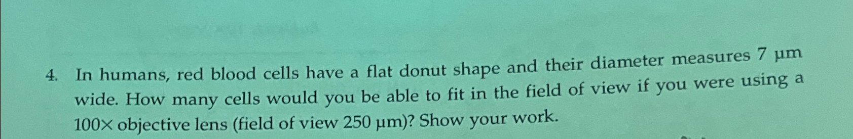 Solved In humans, red blood cells have a flat donut shape | Chegg.com
