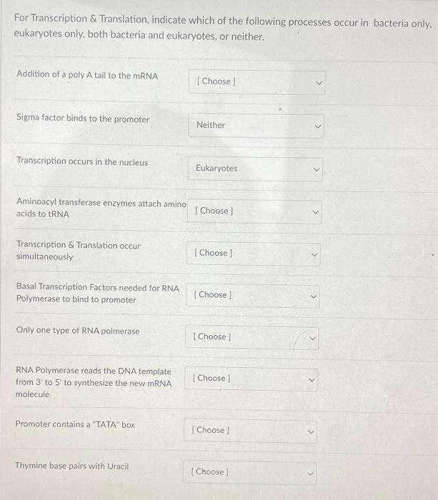 Solved For Transcription & Translation, indicate which of | Chegg.com