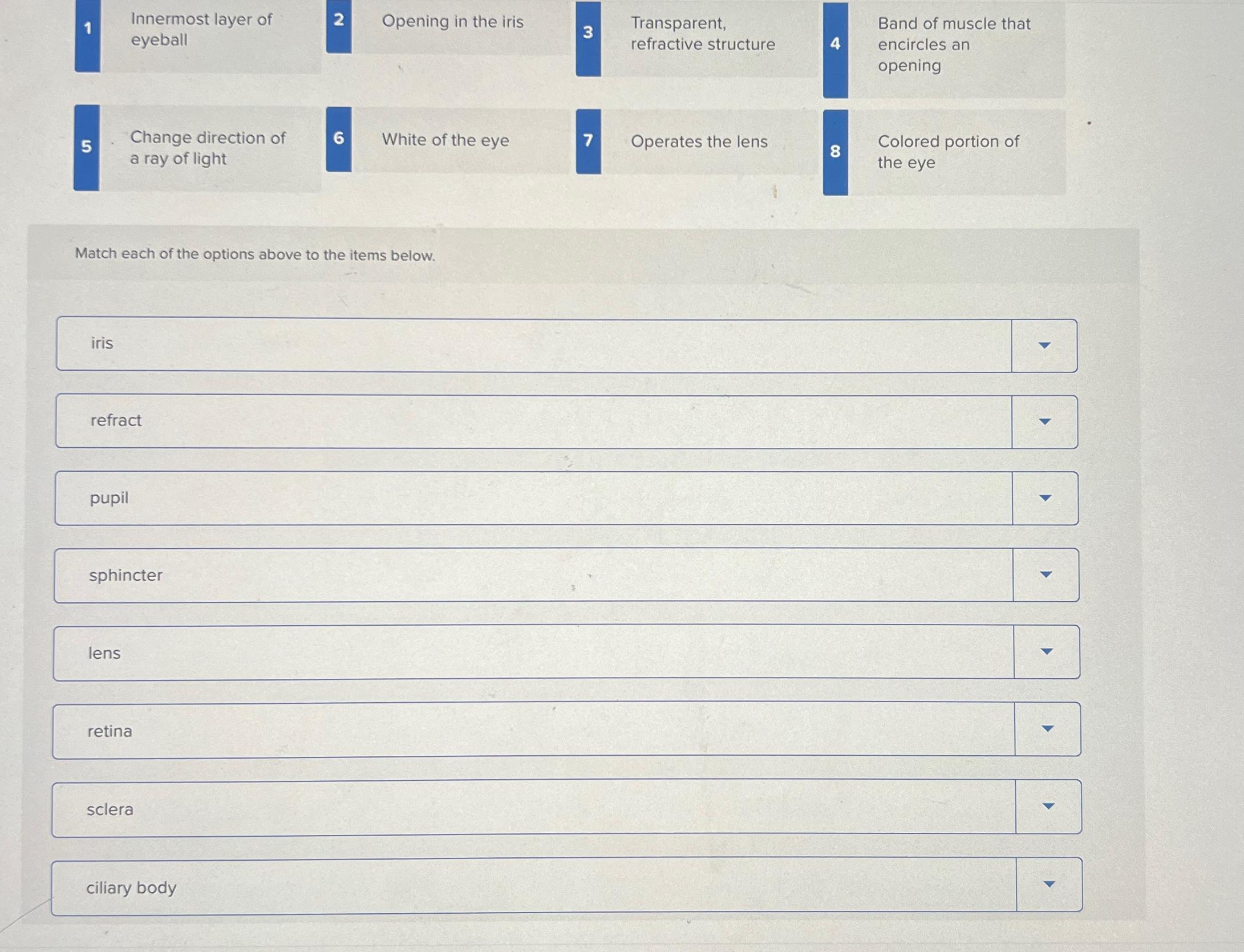 Solved 1Innermost layer of2 ﻿Opening in the | Chegg.com