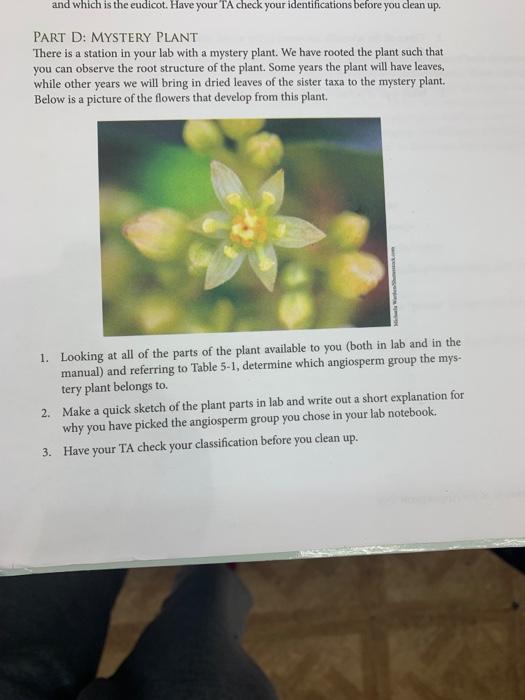 PART D: MYSTERY PLANT There is a station in your lab | Chegg.com