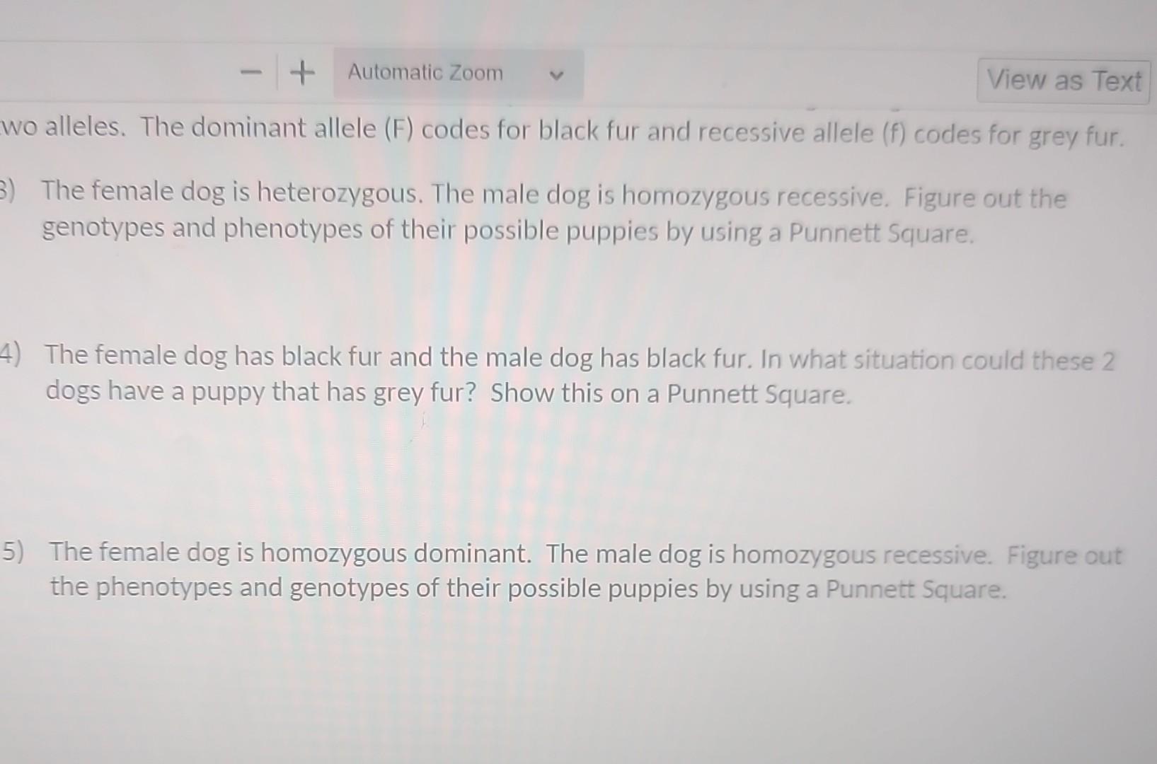 Solved vo alleles. The dominant allele (F) codes for black | Chegg.com