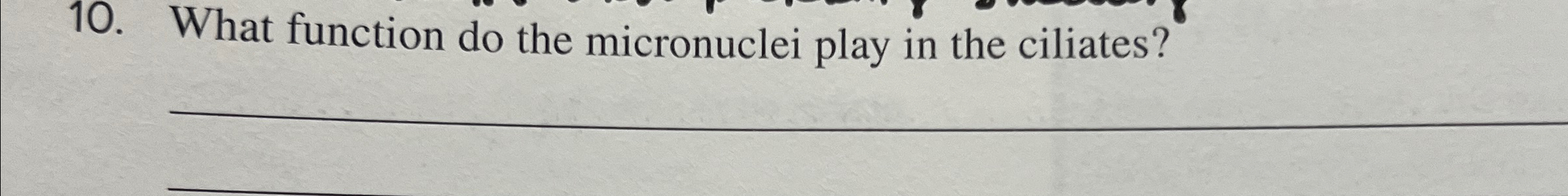 Solved What function do the micronuclei play in the | Chegg.com