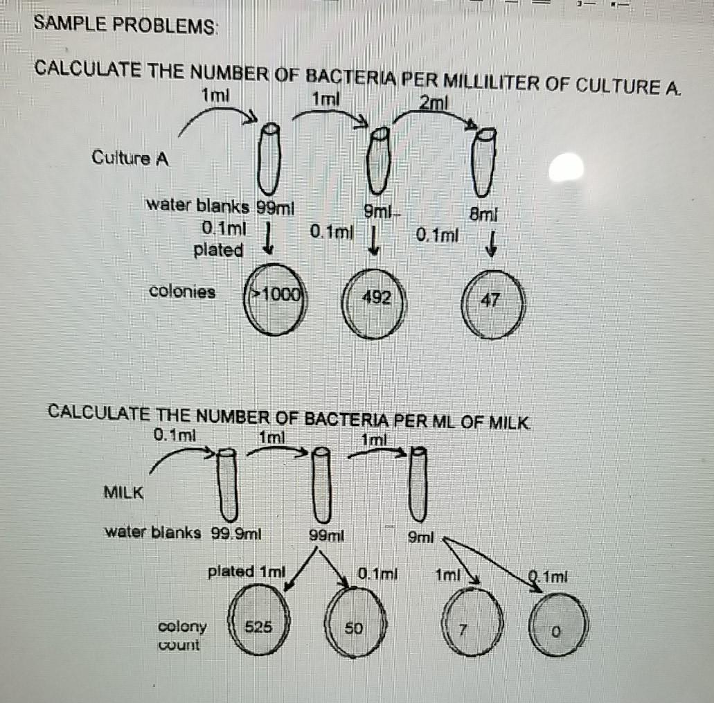 Solved SAMPLE PROBLEMS: CALCULATE THE NUMBER OF BACTERIA PER | Chegg.com