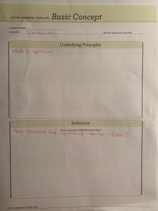 Solved ACTIVE LEARNING TEMPLATE: Basic Concept STUDENT NAME | Chegg.com