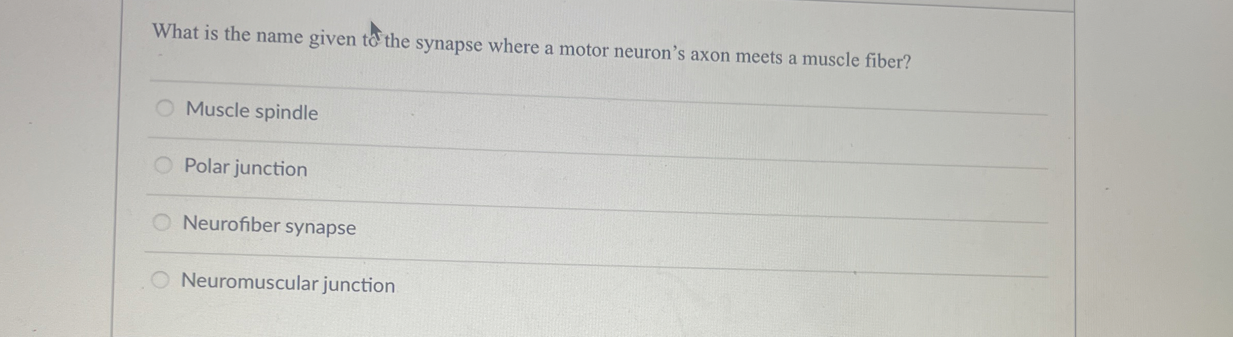 Solved What is the name given to the synapse where a motor | Chegg.com