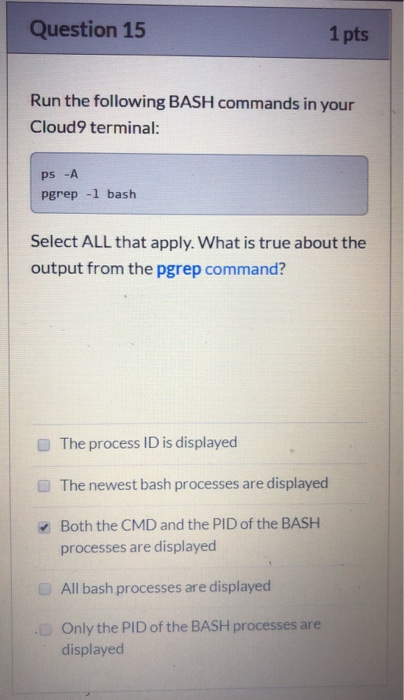 Solved Question 15 1 pts Run the following BASH commands in | Chegg.com