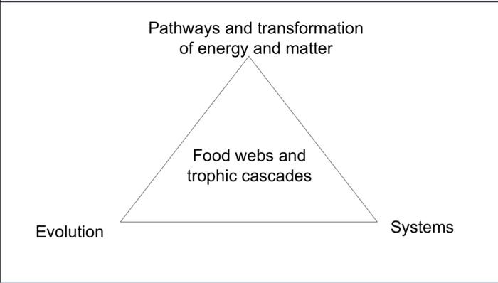 Solved Pathways and transformation of energy and matter Food | Chegg.com