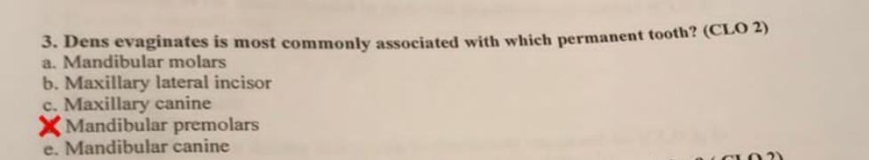 Solved Dens evaginates is most commonly associated with | Chegg.com
