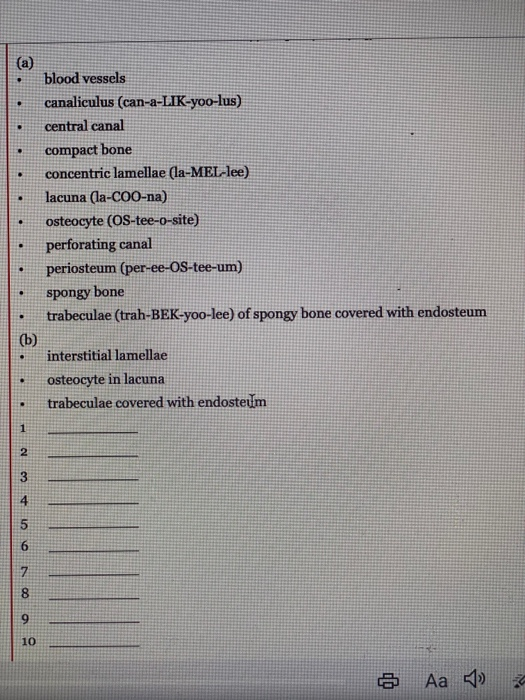 Solved 98 EXERCISE & BONE STRUCTURE AND FUNCTION LAB ACTIV | Chegg.com