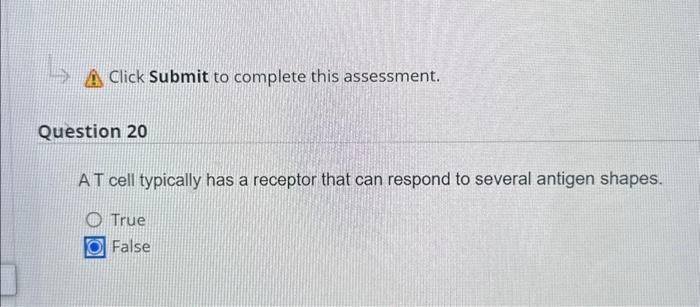 Solved Click Submit to complete this assessment. Iestion 20 | Chegg.com