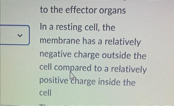 Solved to the effector organs a In a resting cell, the | Chegg.com