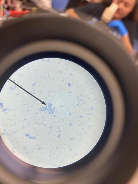 [Solved]: minor unknown projecti need help to identify this