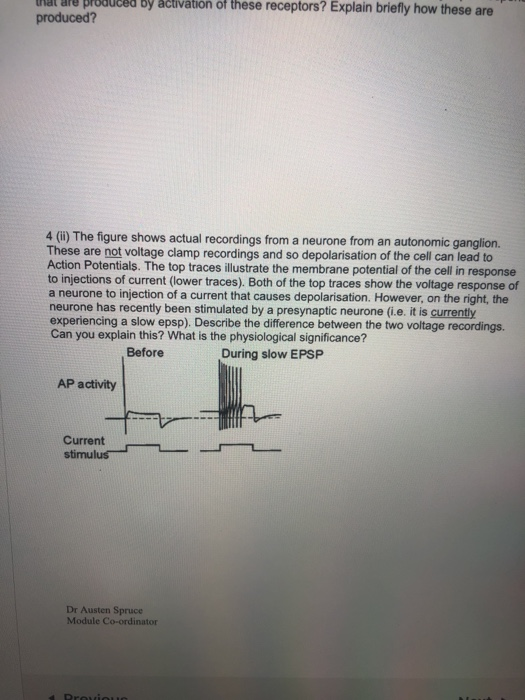 10) A voltage clamp recording is made from a cell | Chegg.com