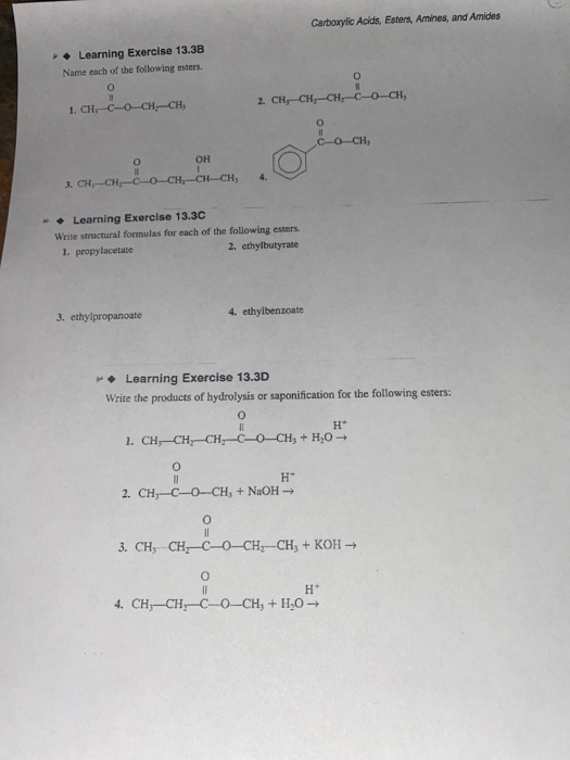 Solved Carboxylic Acids, Esters, Amines, and Amides • | Chegg.com