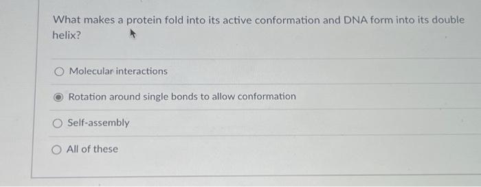Solved What makes a protein fold into its active | Chegg.com