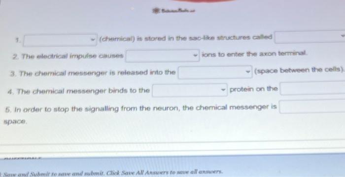 1. (chernical) is stored in the sac-like structures | Chegg.com