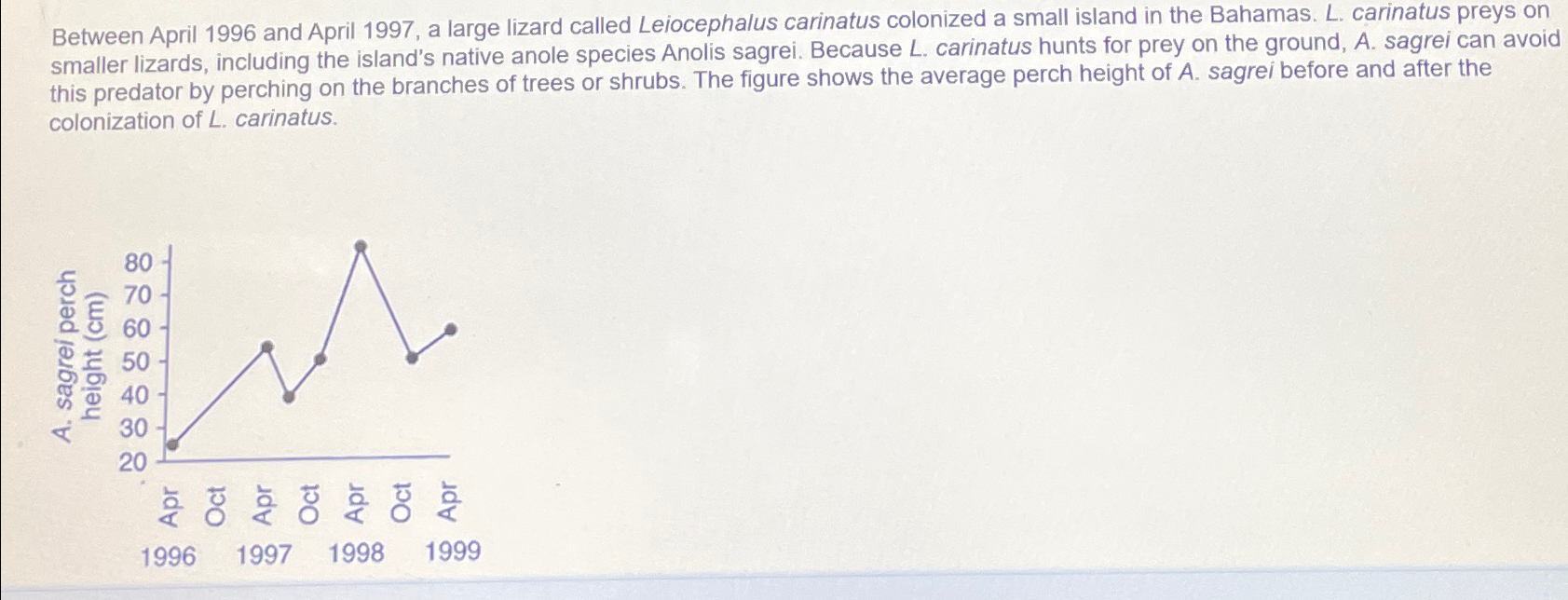 Solved Between April 1996 ﻿and April 1997, ﻿a large lizard | Chegg.com