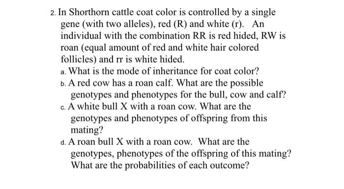 Solved 2. In Shorthorn cattle coat color is controlled by a | Chegg.com
