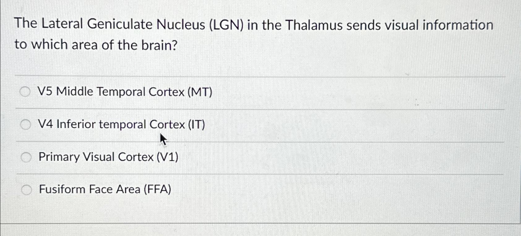 Solved The Lateral Geniculate Nucleus (LGN) ﻿in the Thalamus | Chegg.com