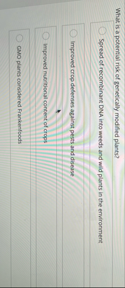 Solved What is a potential risk of genetically modified | Chegg.com