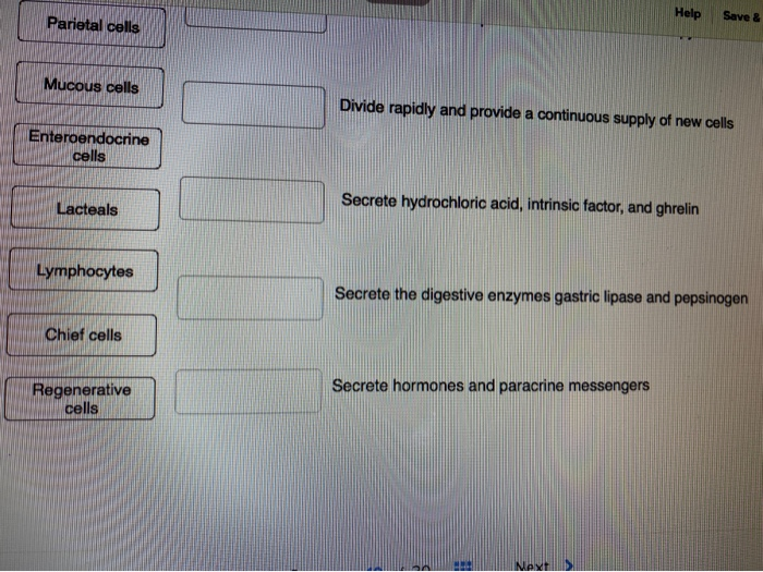 Solved Help Save Click and drag the labels to match each | Chegg.com