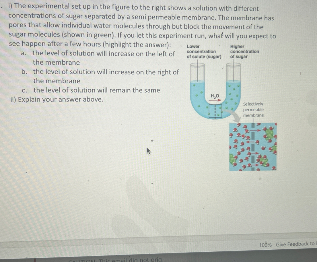 Solved i) ﻿The experimental set up in the figure to the | Chegg.com