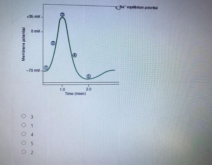 Solved 3. The following is a diagram of a nerve action | Chegg.com