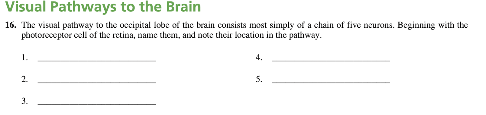 Solved Visual Pathways to the BrainThe visual pathway to the | Chegg.com