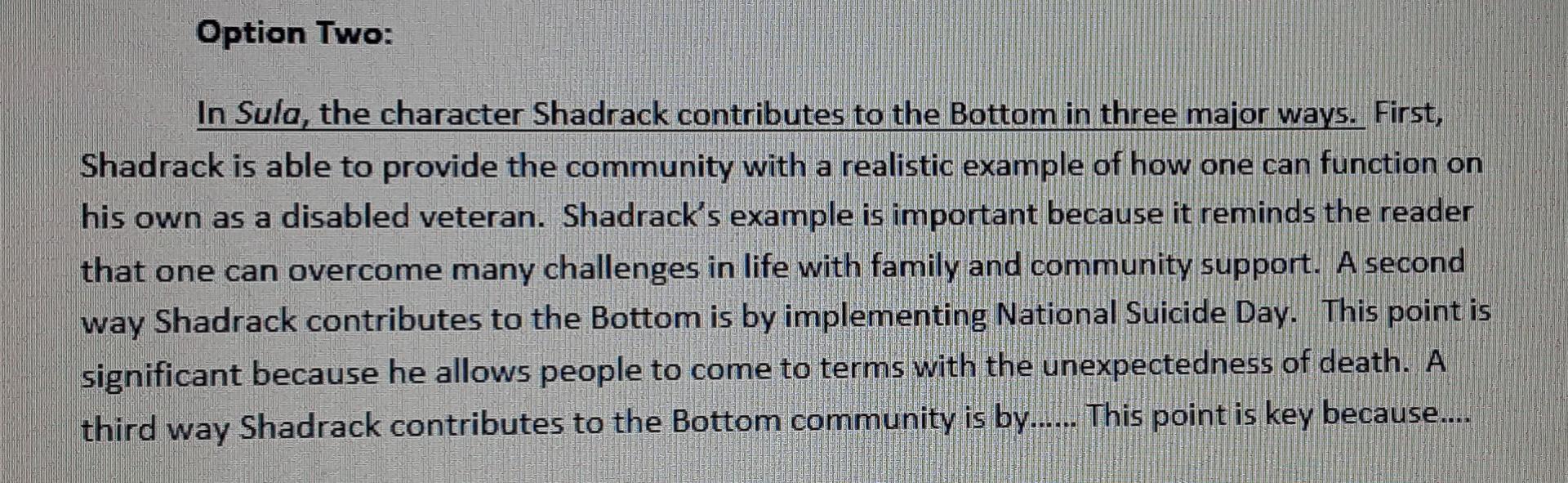 Solved Option Two: In Sula, the character Shadrack | Chegg.com