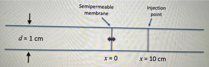 A long, narrow tube (diameter 1 cm ) is separated | Chegg.com