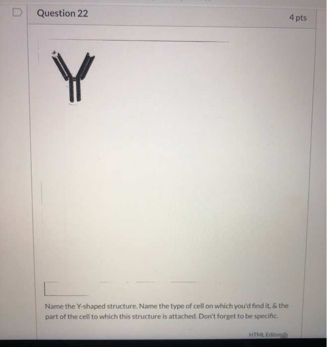 Solved D Question 22 4 pts Name the Y-shaped structure. Name | Chegg.com