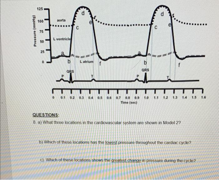 Solved Heart Valves and the Cardiac Cycle Model 1: Opening | Chegg.com