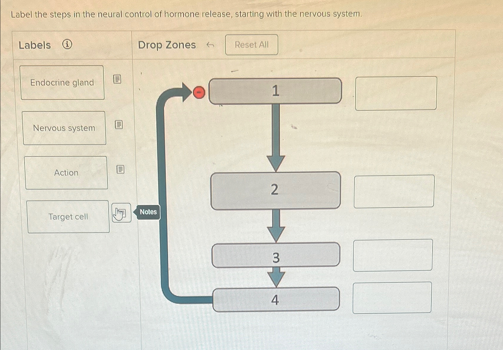 Solved Label the steps in the neural control of hormone | Chegg.com