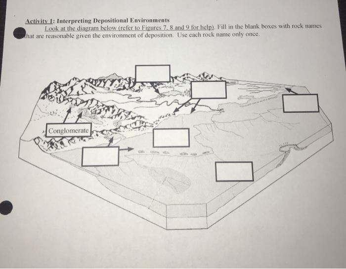 Solved Sedimentary Depositional Environments Shallow Marine | Chegg.com