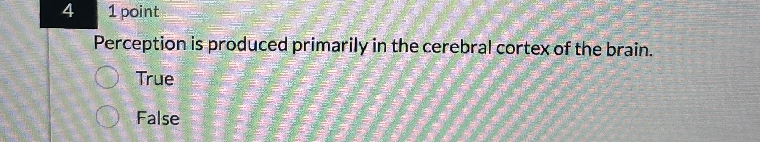 Solved Perception is produced primarily in the cerebral | Chegg.com