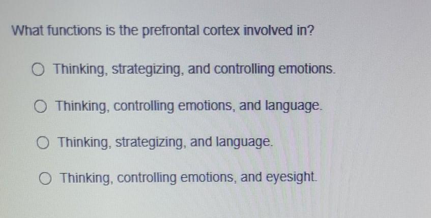 Solved What functions is the prefrontal cortex involved in? | Chegg.com