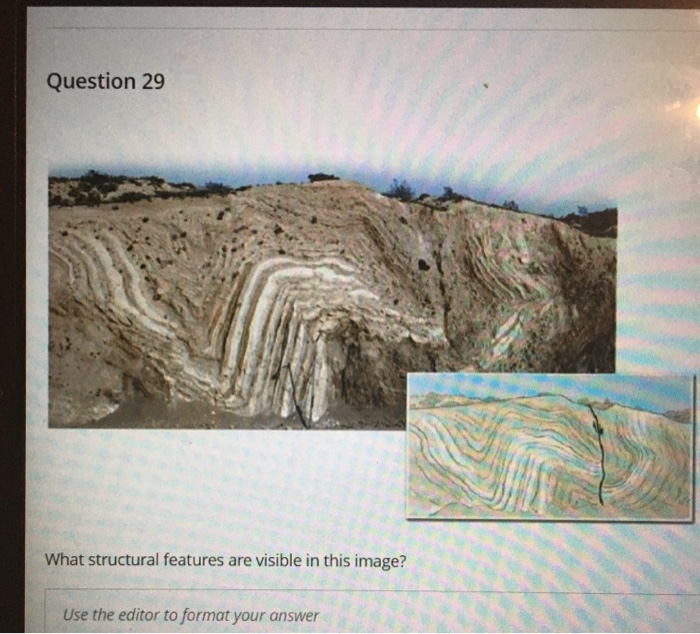 Solved Question 29 What structural features are visible in | Chegg.com