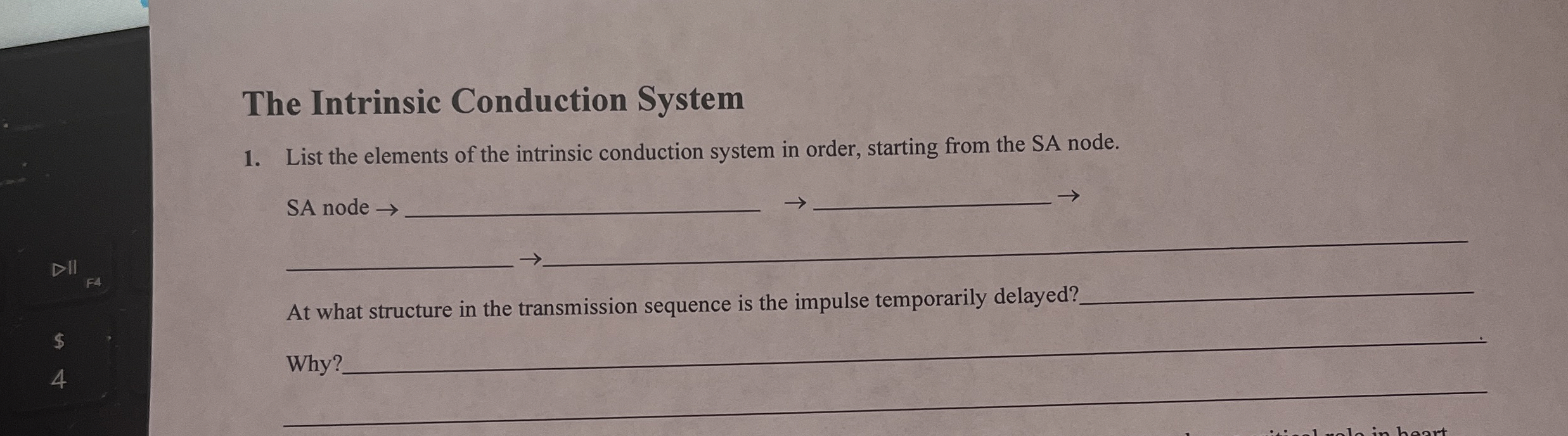 Solved The Intrinsic Conduction SystemList the elements of | Chegg.com