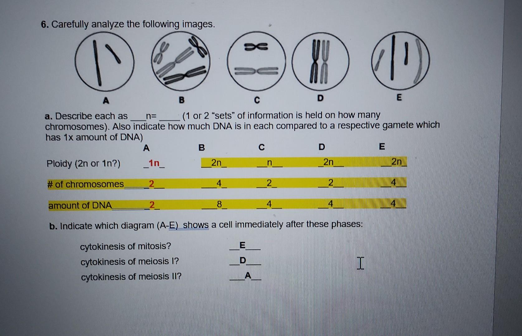 Solved 7. On the graph below, there are TWO Y axes. You are | Chegg.com