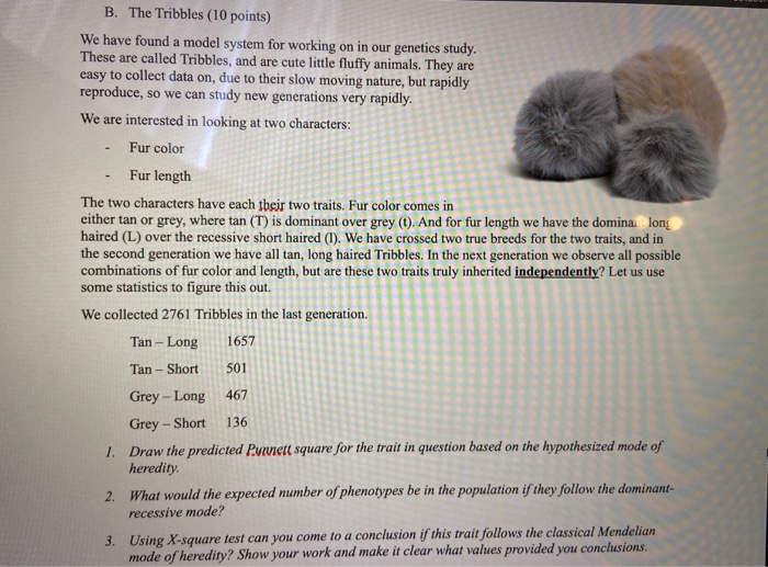 Solved B. The Tribbles (10 points) We have found a model | Chegg.com